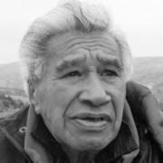 Hone Tuwhare - Poetry Archive